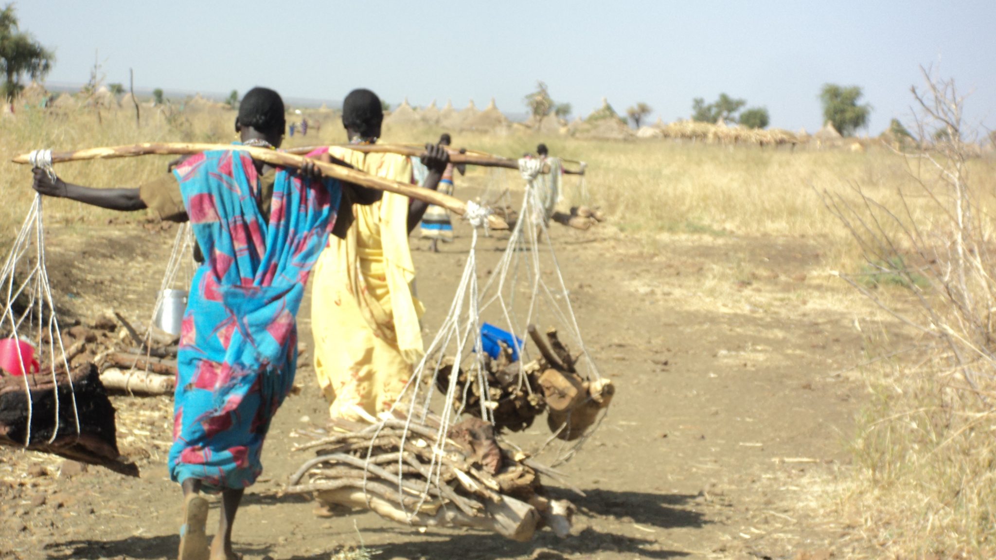 About Us-DDR & Pace Building – Friends of Peace and Development ...